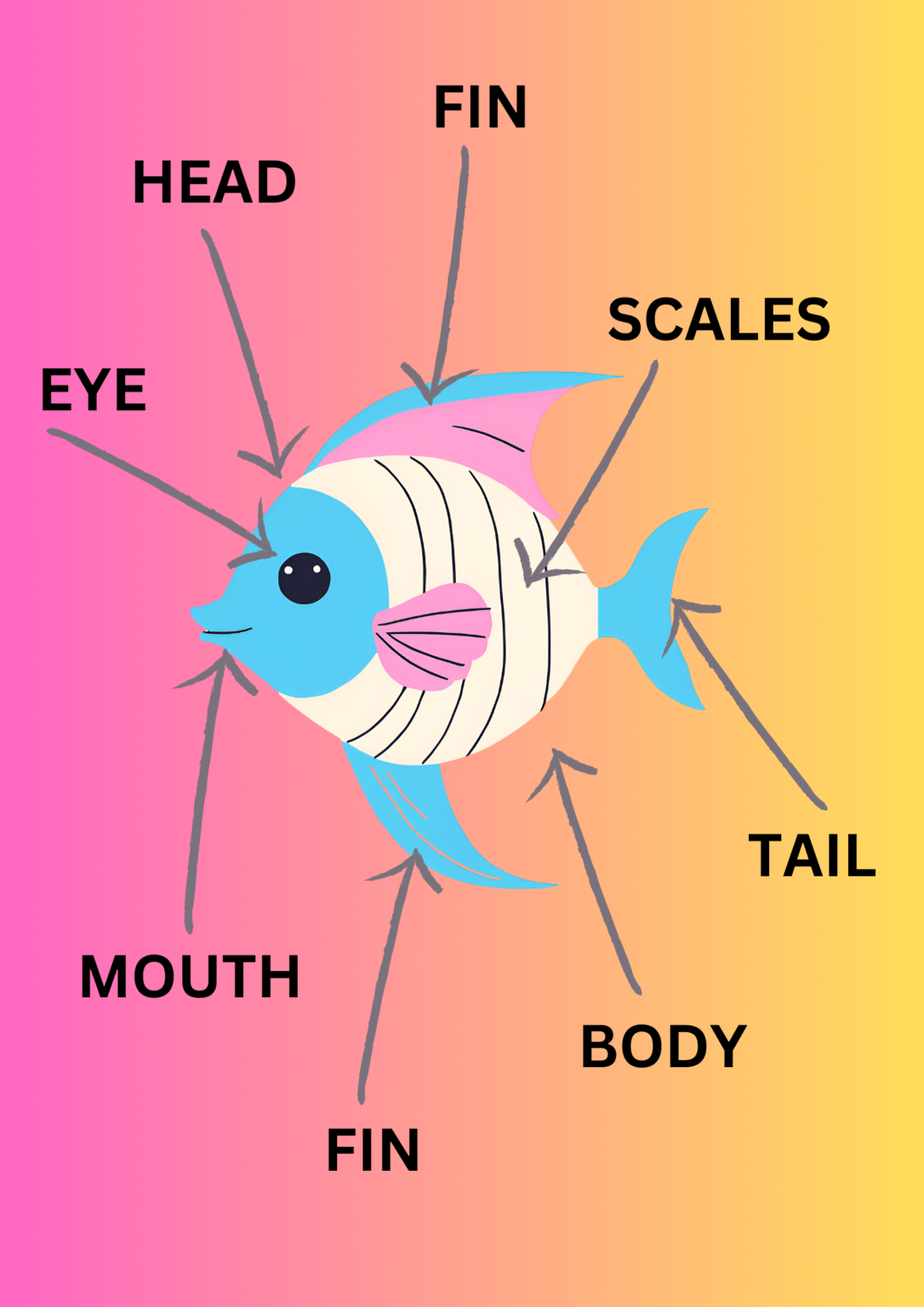 CD FISH CRAFT FOR KIDS! | Crazee Kids Art