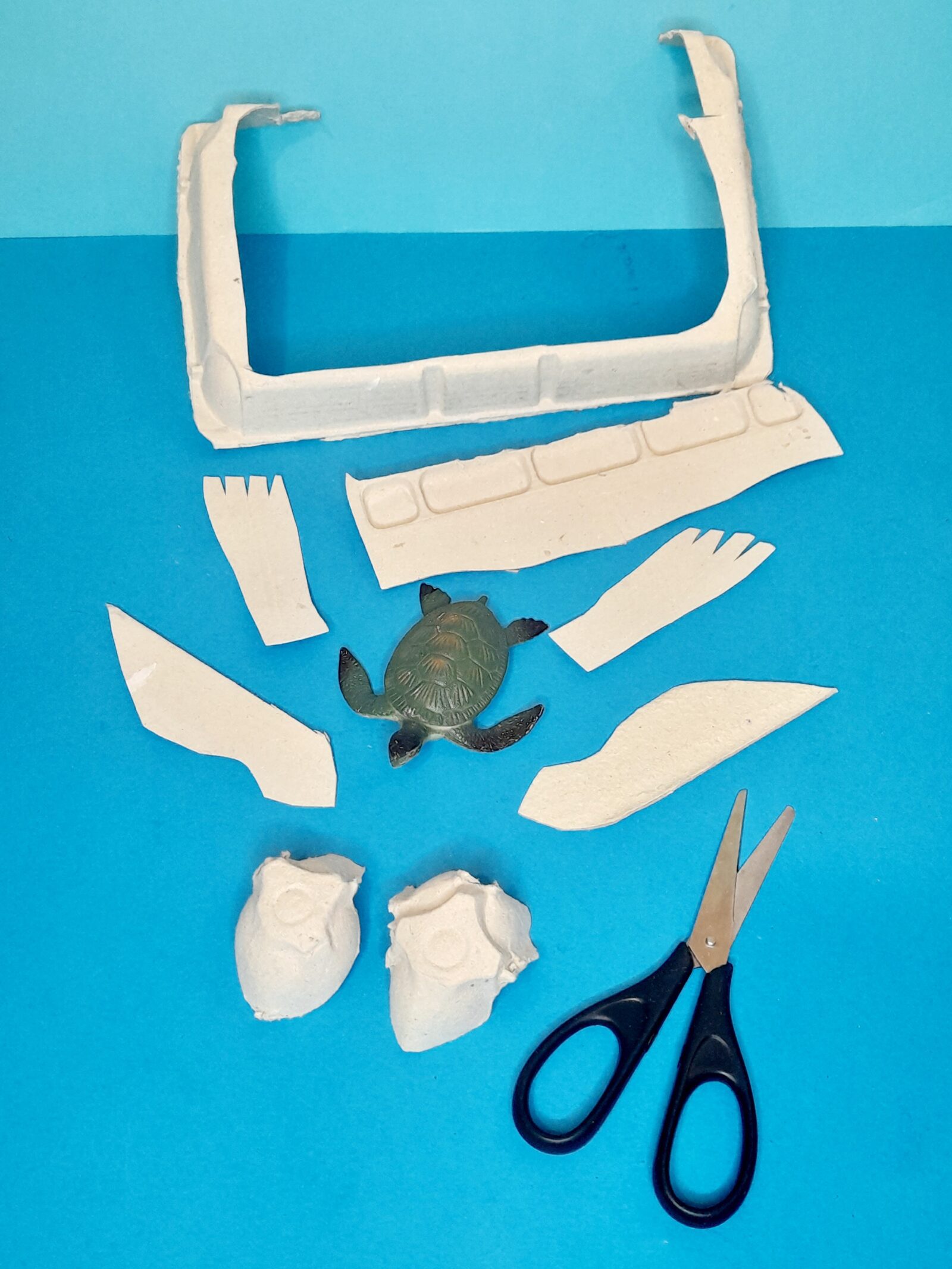 EGG CARTON TURTLE CRAFT FOR KIDS! | Crazee Kids Art